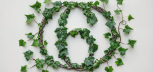 The Number 6 in Numerology: Full of Responsibility and Meaning